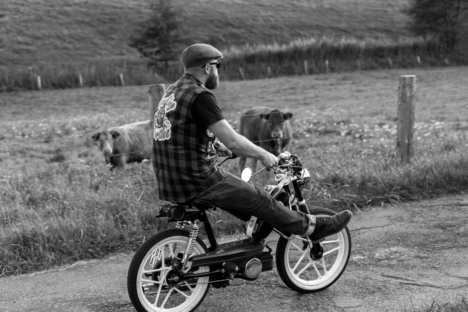 Petra Arnold im Interview